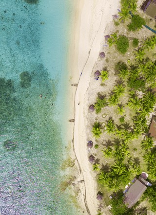 Search and Compare cheap flights, airline tickets & flight tickets,find ...