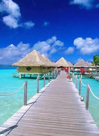 Search and Compare cheap flights, airline tickets & flight tickets,find ...