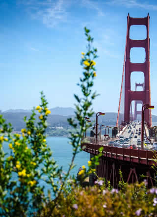 Search and Compare cheap flights, airline tickets & flight tickets,find ...