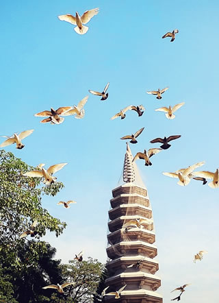 Search and Compare cheap flights, airline tickets & flight tickets,find ...