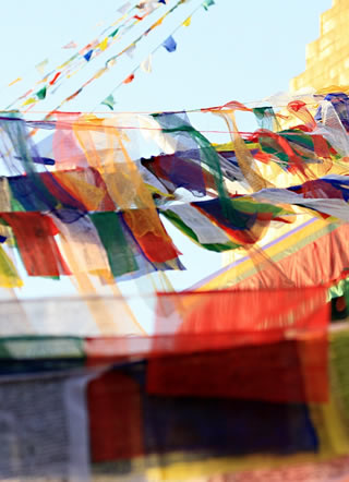 Search and Compare cheap flights, airline tickets & flight tickets,find ...